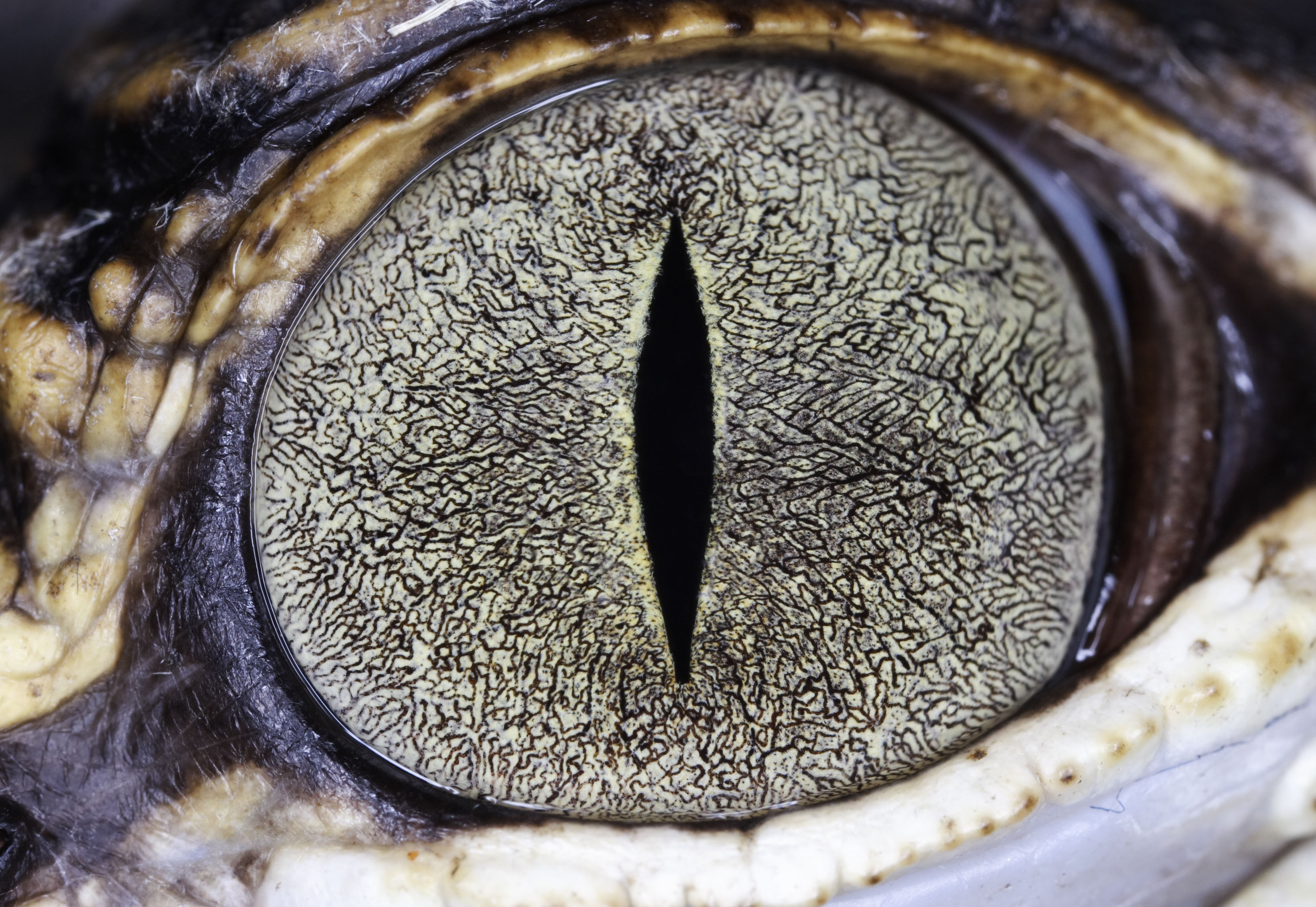 Index of /images/evan/