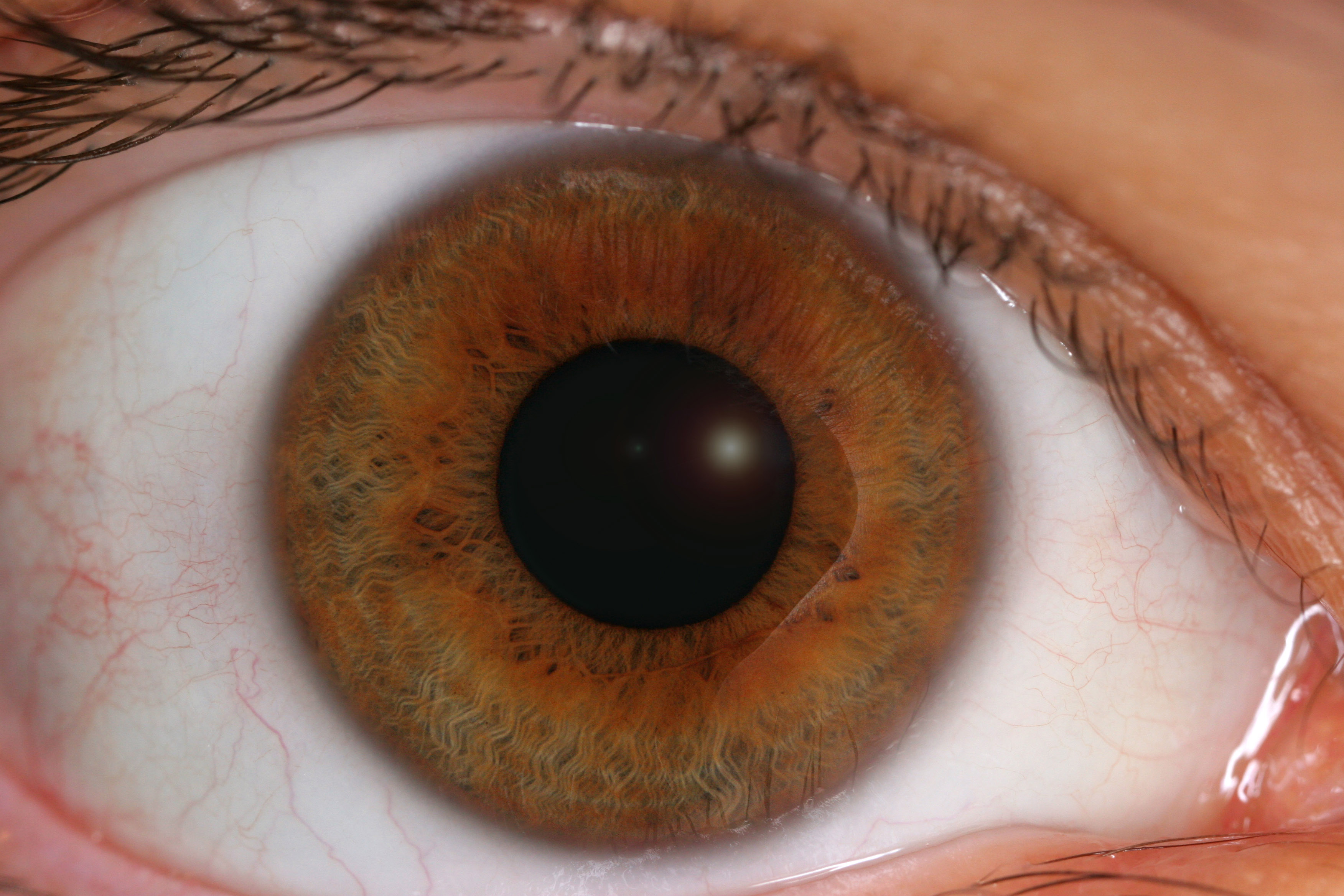 Index of /images/evan/